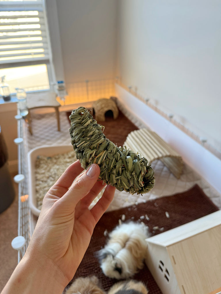 The Pig Room