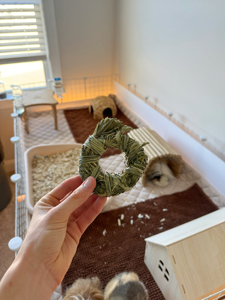 The Pig Room