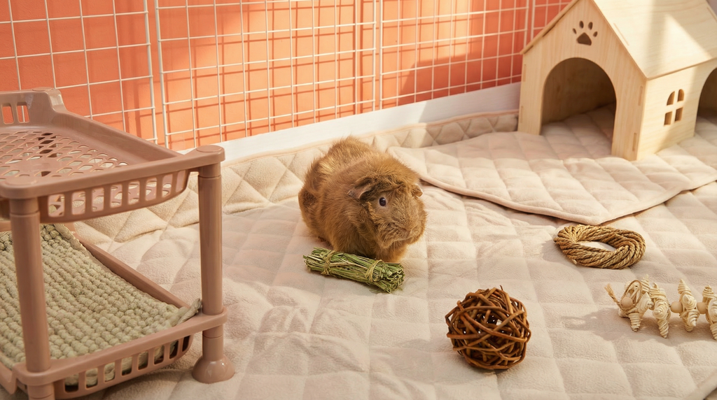 The Pig Room